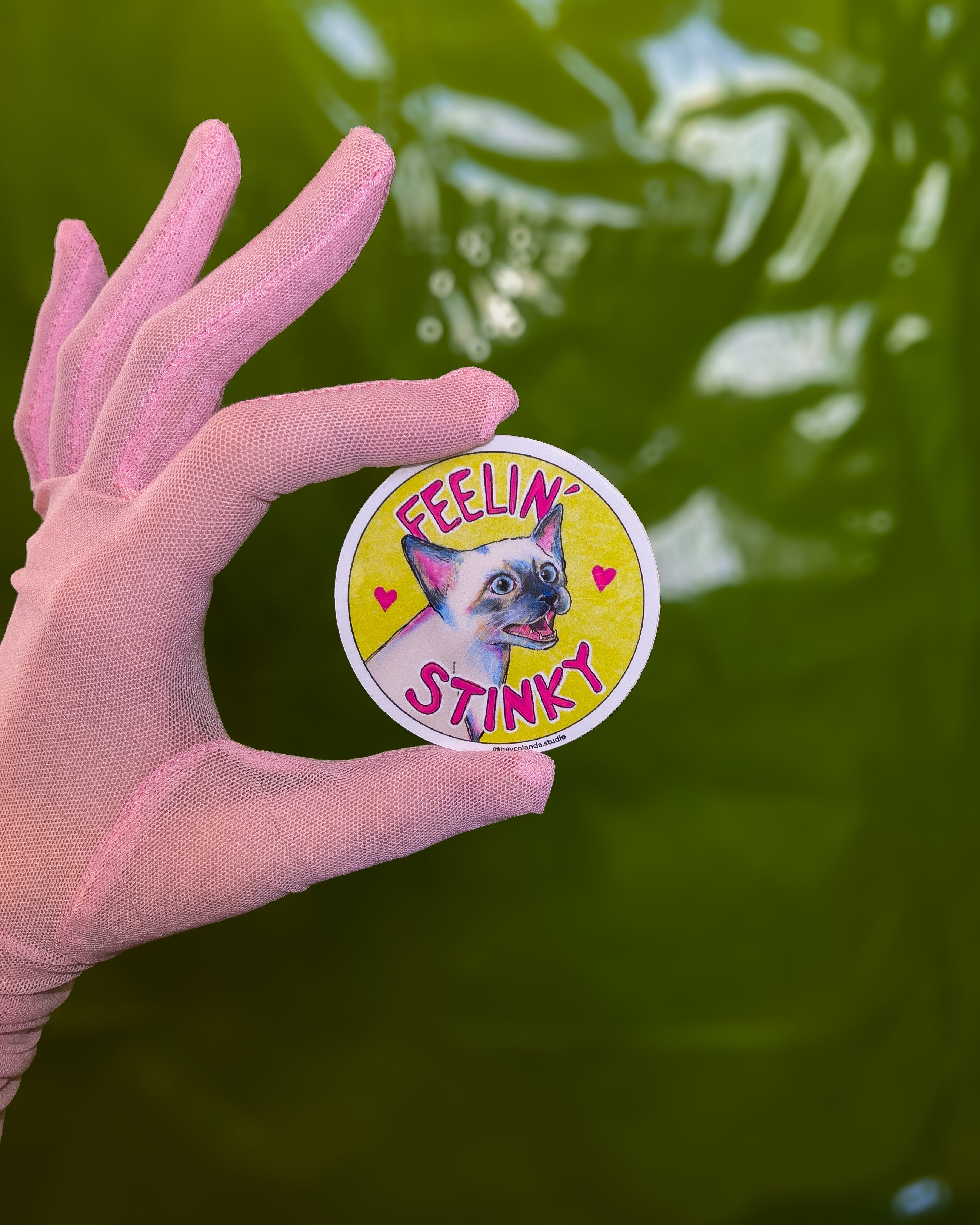 Feeling' Stinky – heycolanda