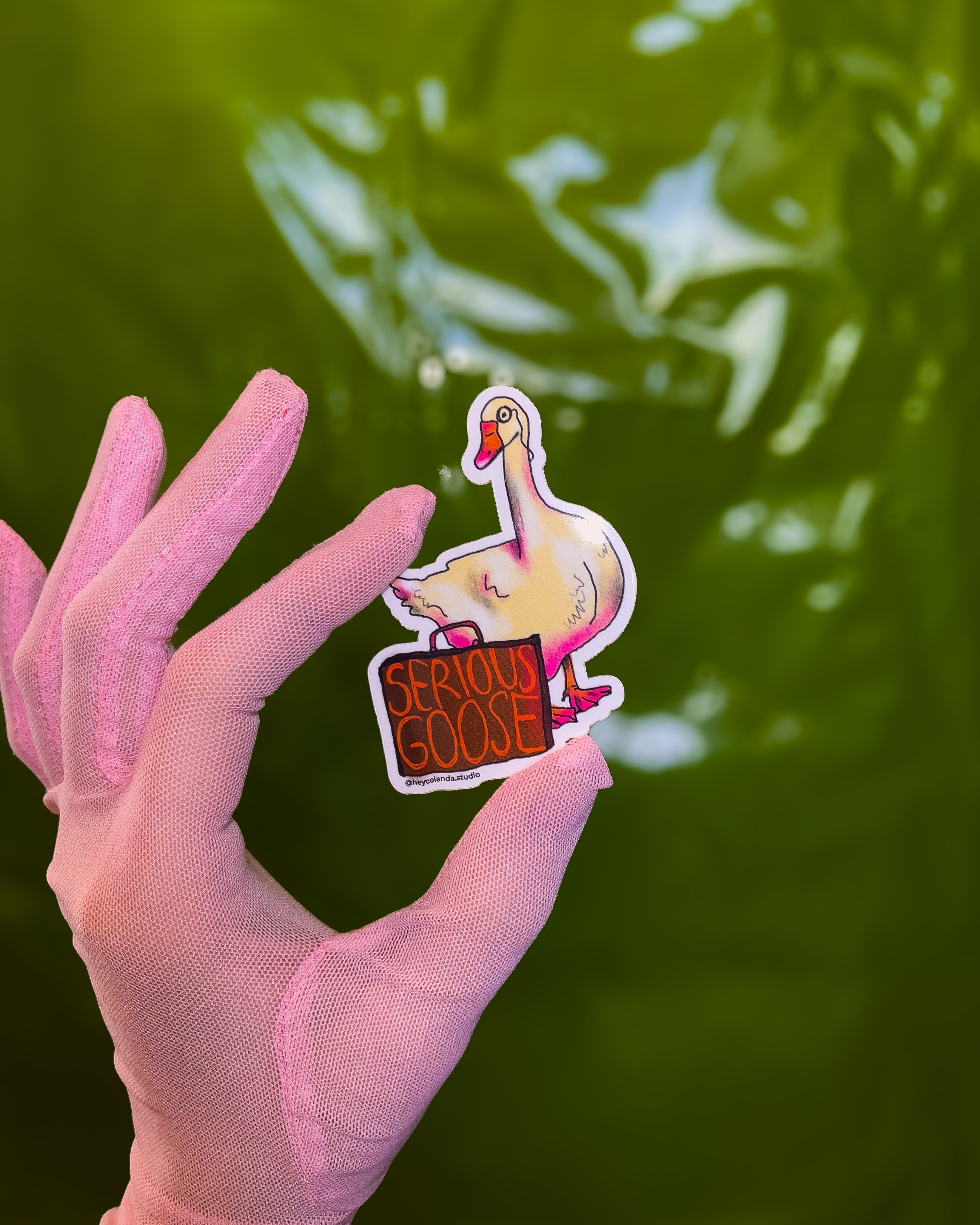 Serious Goose – heycolanda